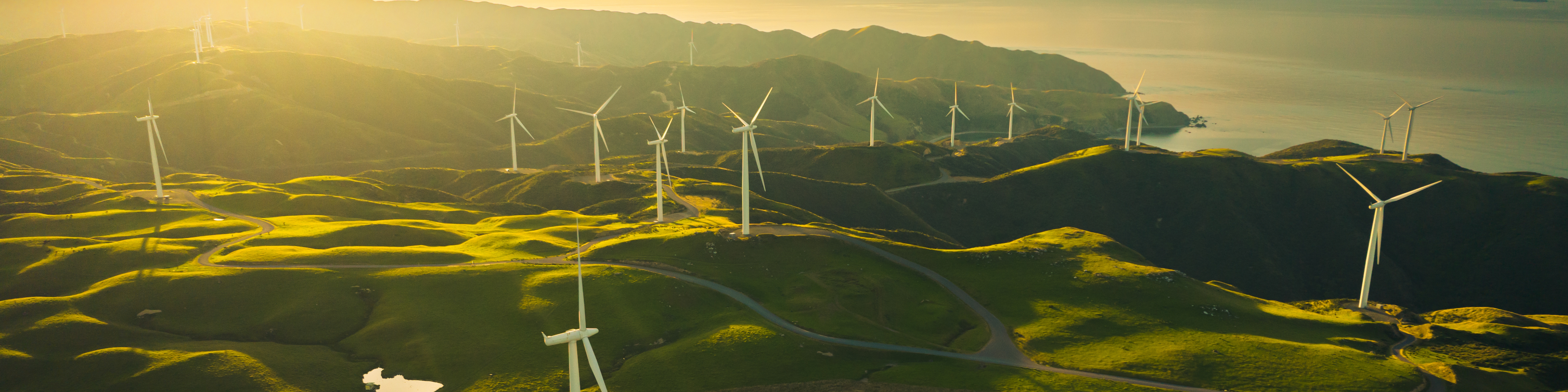 Renewable Energy Careers: How to Get Starte · Mint Selection